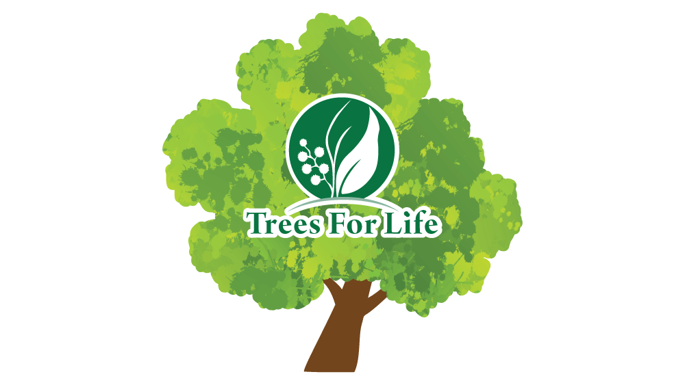 Tree Shaped Magnets | Fast & Free Shipping | FridgeMagnets.com